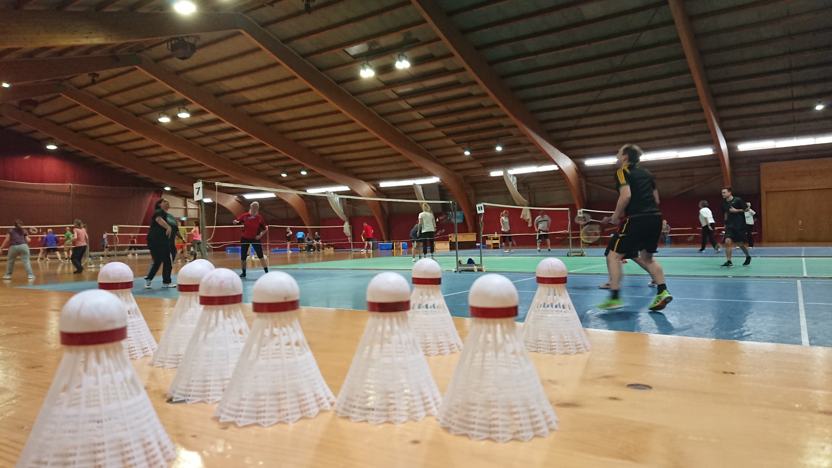 Home [www.bcbustelbach.ch]